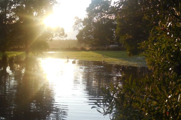 Spring-Fed Dam becomes a little lake always different – Marilyn ...