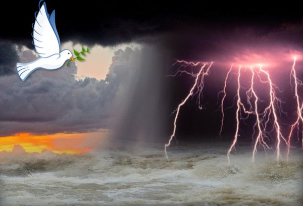 How To Remain Peaceful In The Midst Of The Storm – Marilyn Williams' Blog!